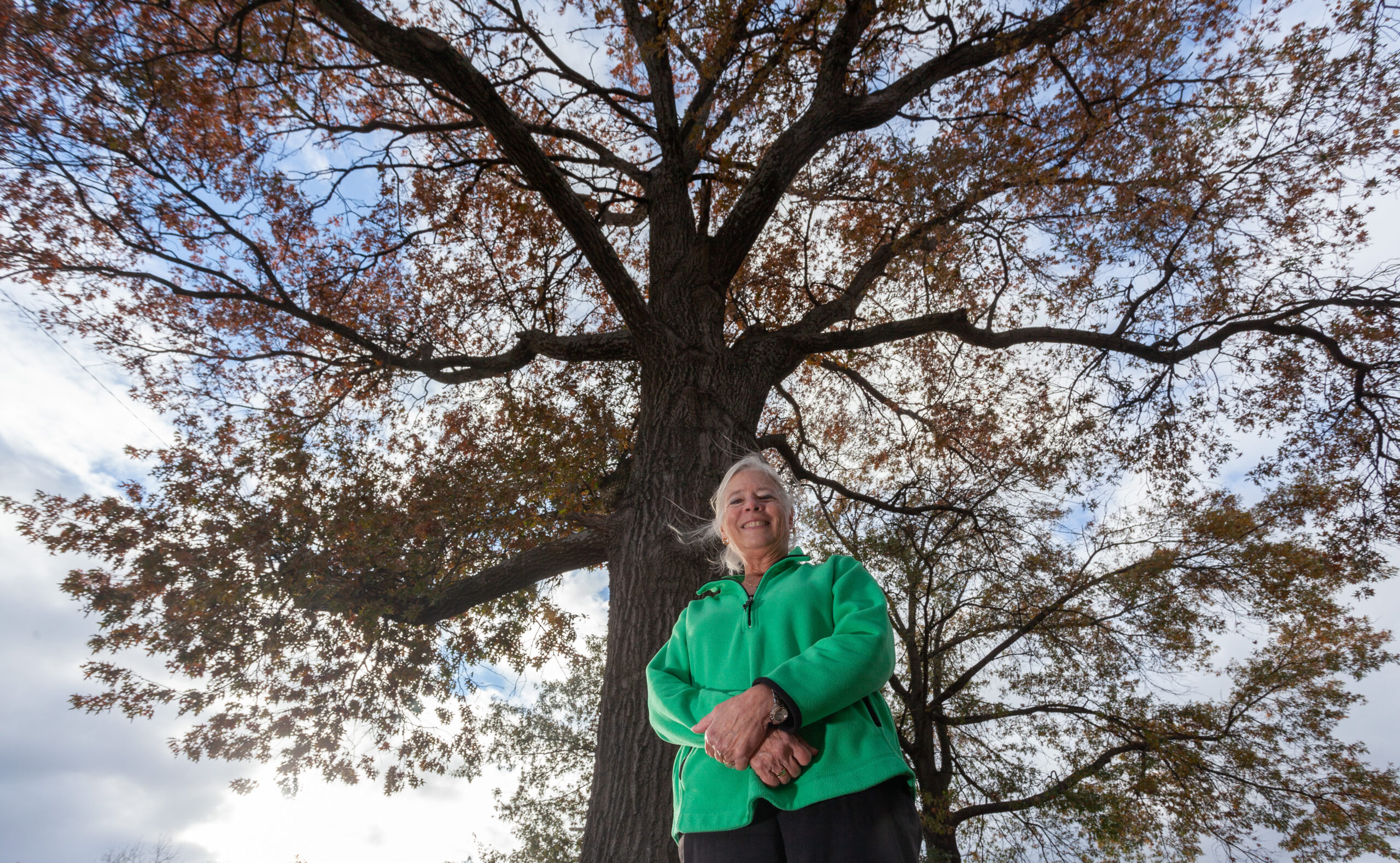 Thankful for Mom’s spirit: Her soaring tree stands as a lesson in ...